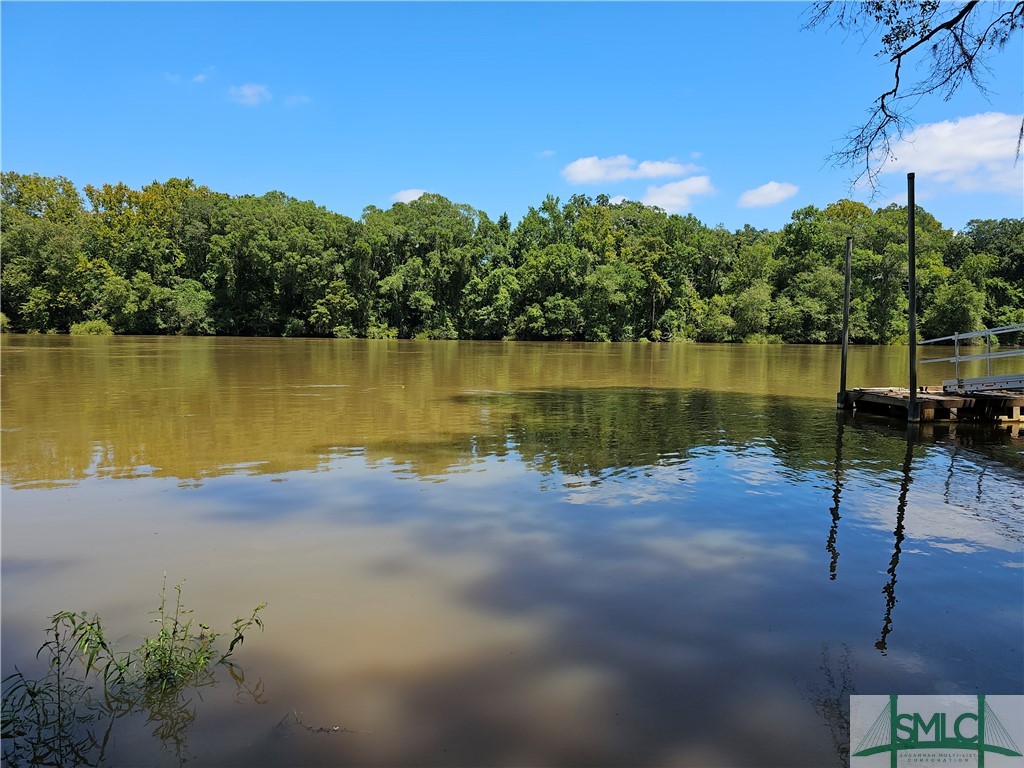 305 Gold Kist Road, Clyo, GA 31303